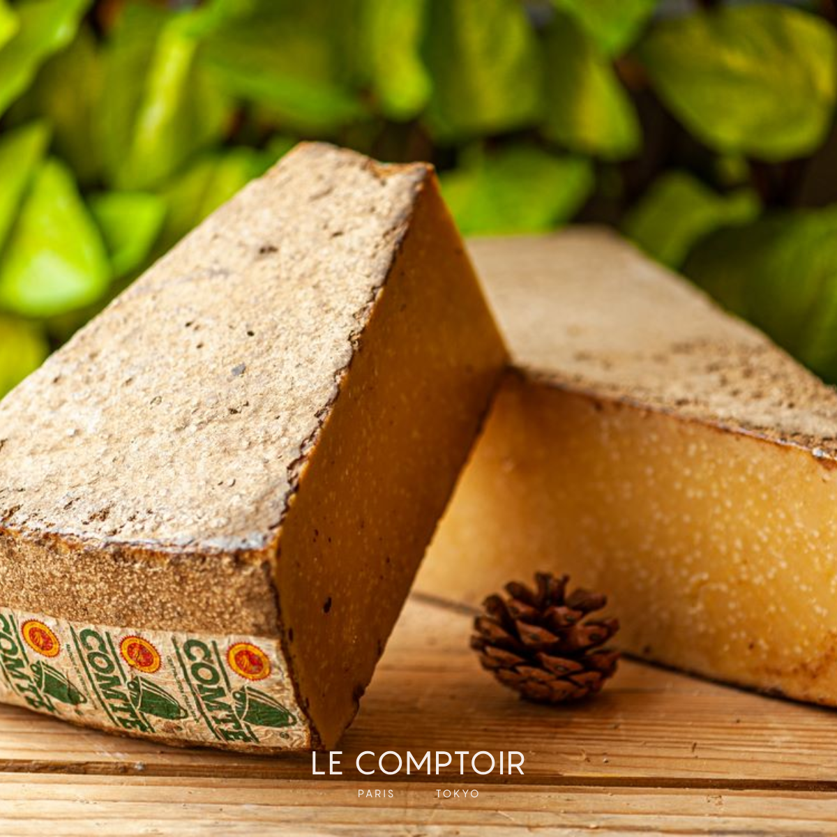 コンテ30ヶ月熟成 • Comté 30 Mois • チーズとワイン専門店 | Le Comptoir | Le Comptoir
